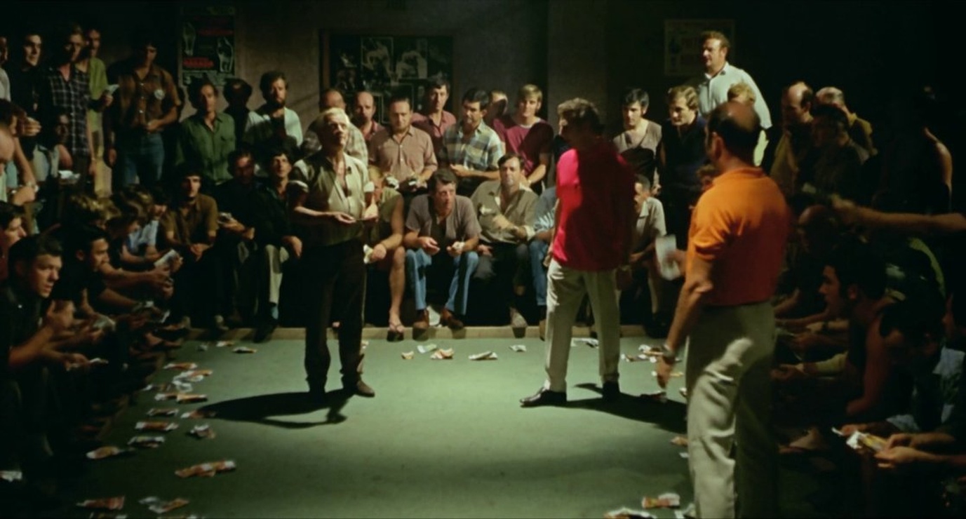 Picture of Wake in Fright