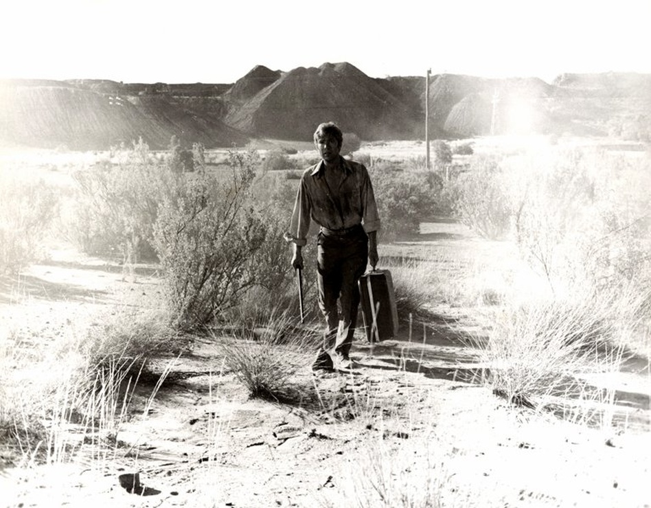 Picture of Wake in Fright