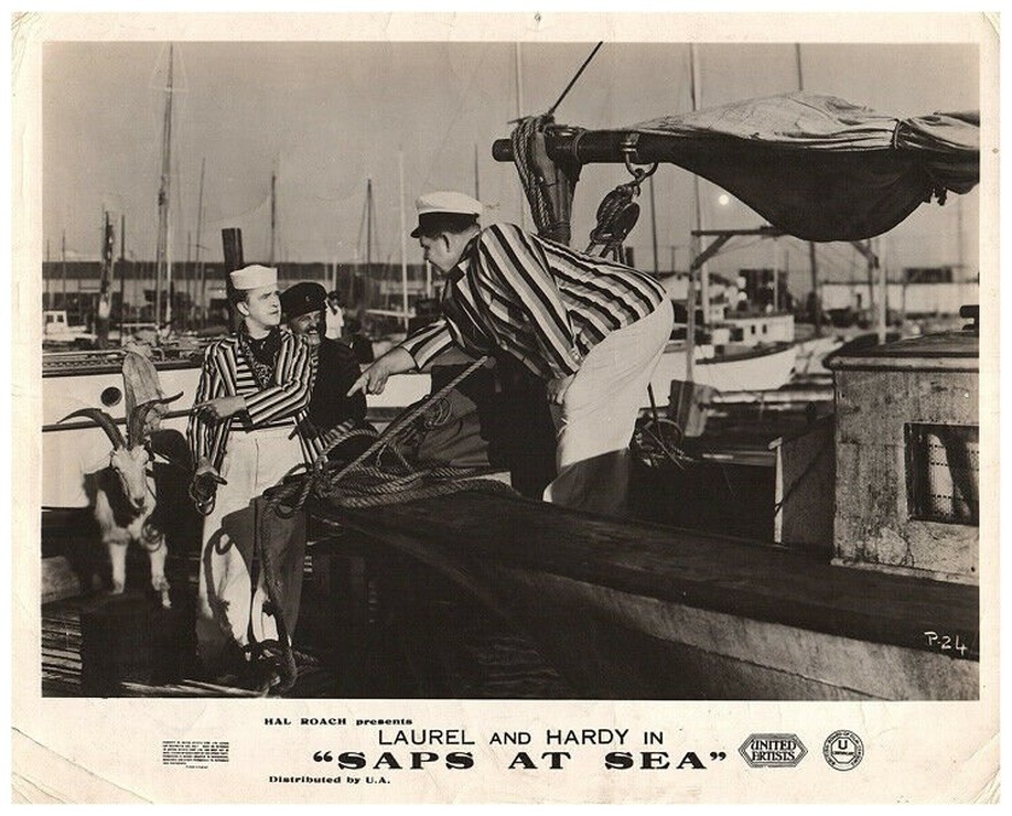 Picture of Saps at Sea