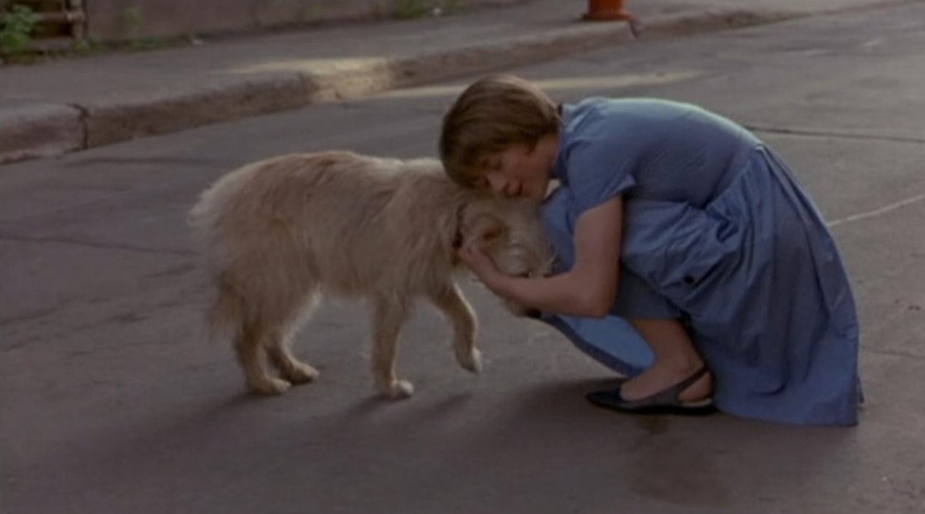 Picture of Set Me Free