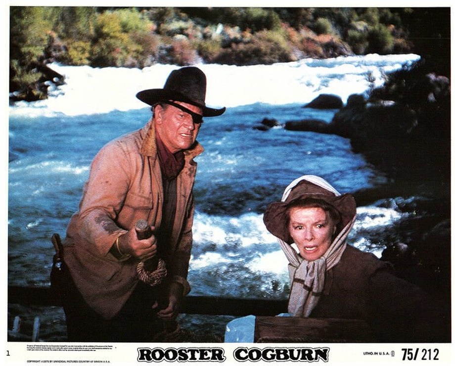 Picture of Rooster Cogburn