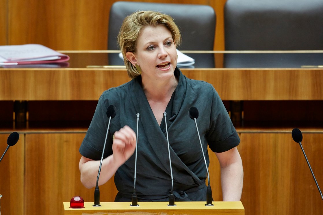 Beate Meinl-Reisinger picture