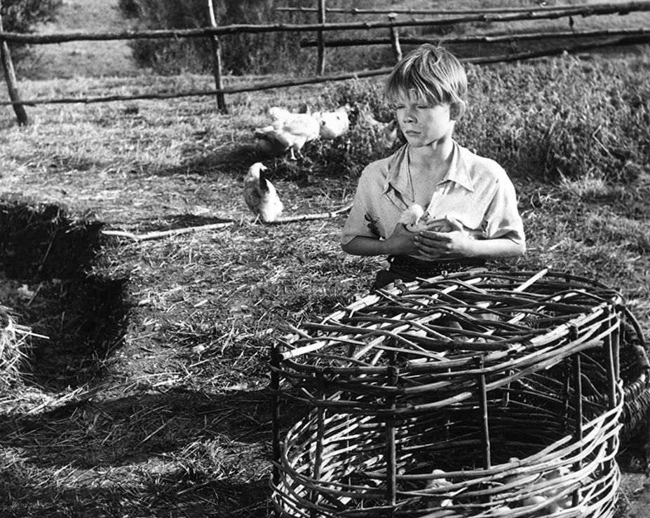 Picture of Forbidden Games