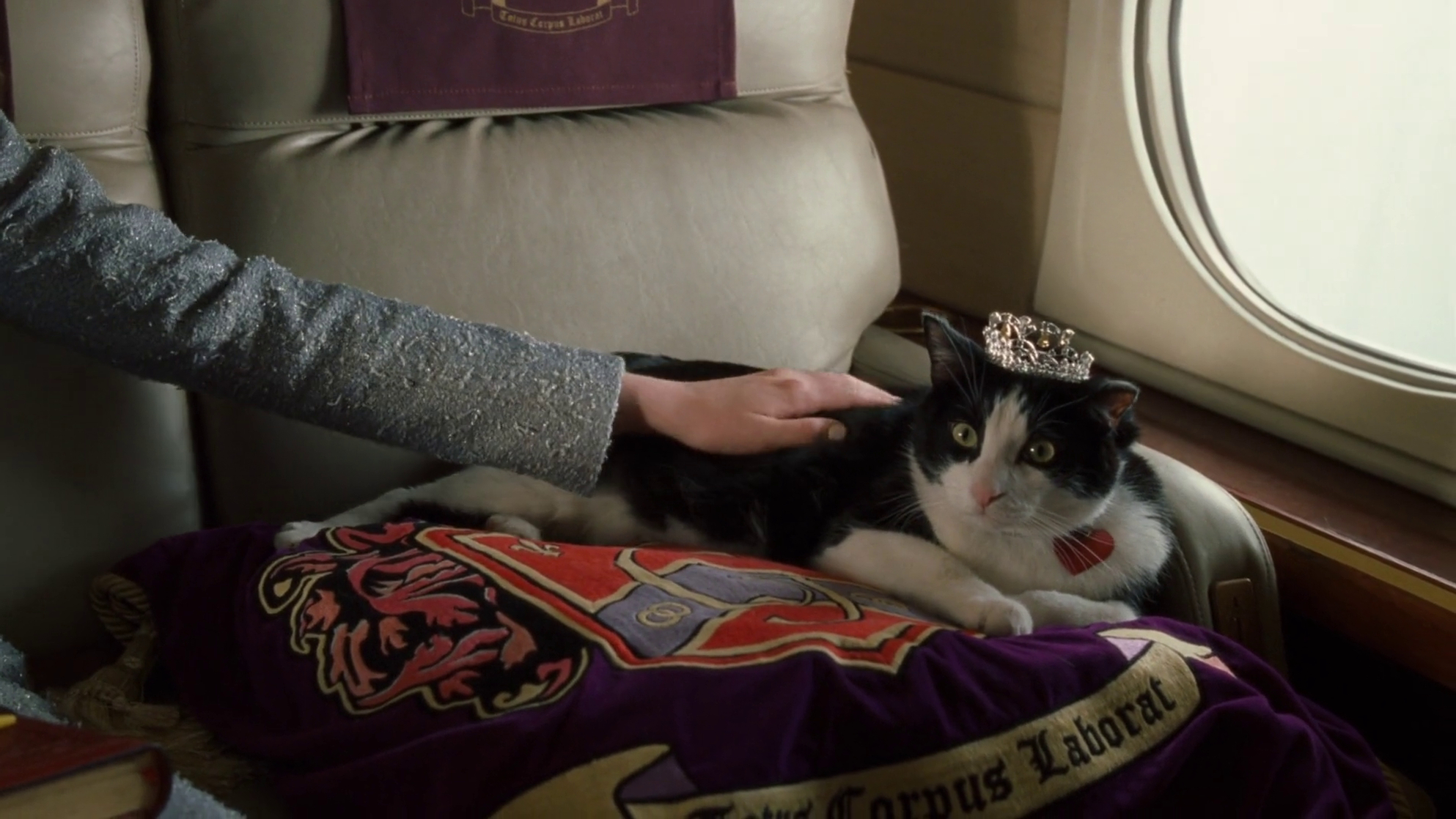 Picture of The Princess Diaries