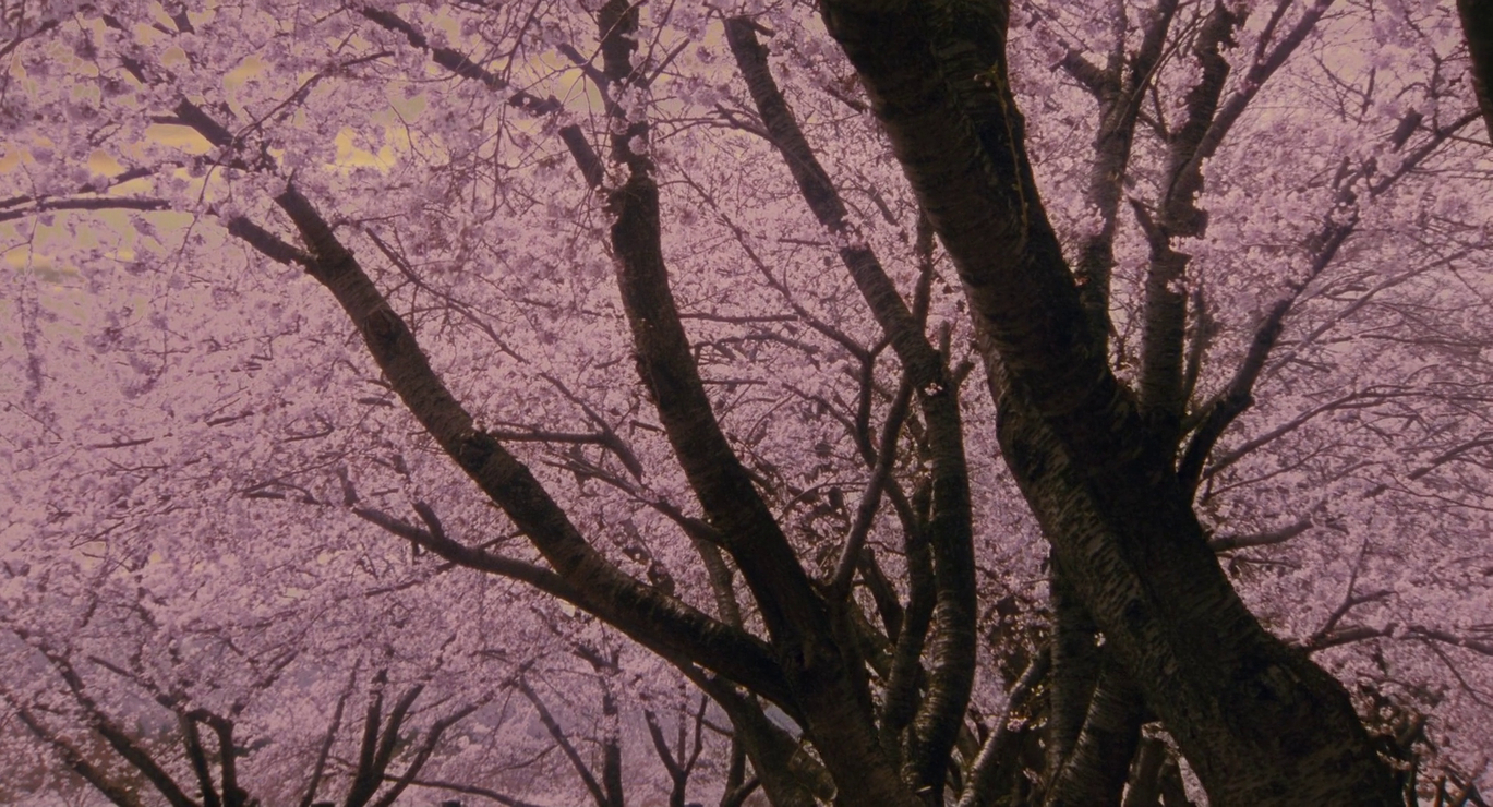 Picture of Reminiscence