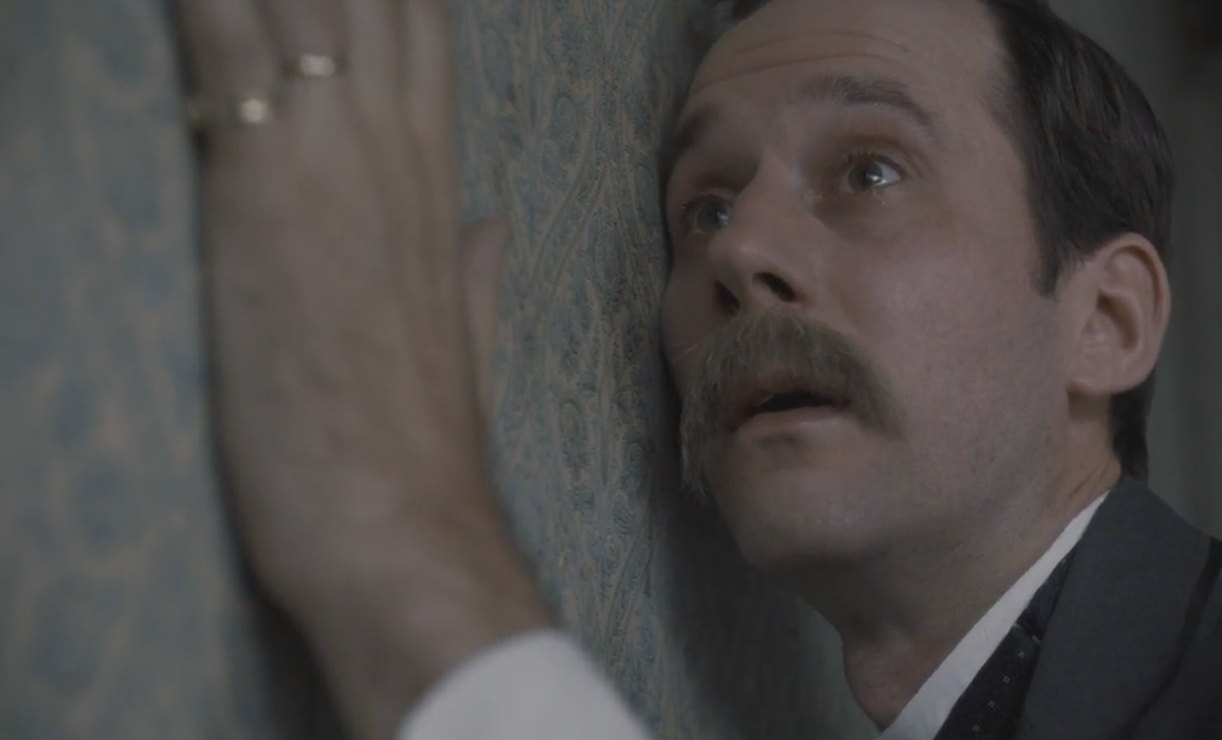 Curiosa (2019) image