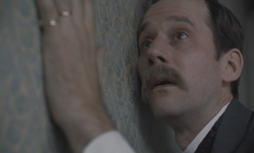 Curiosa (2019) image