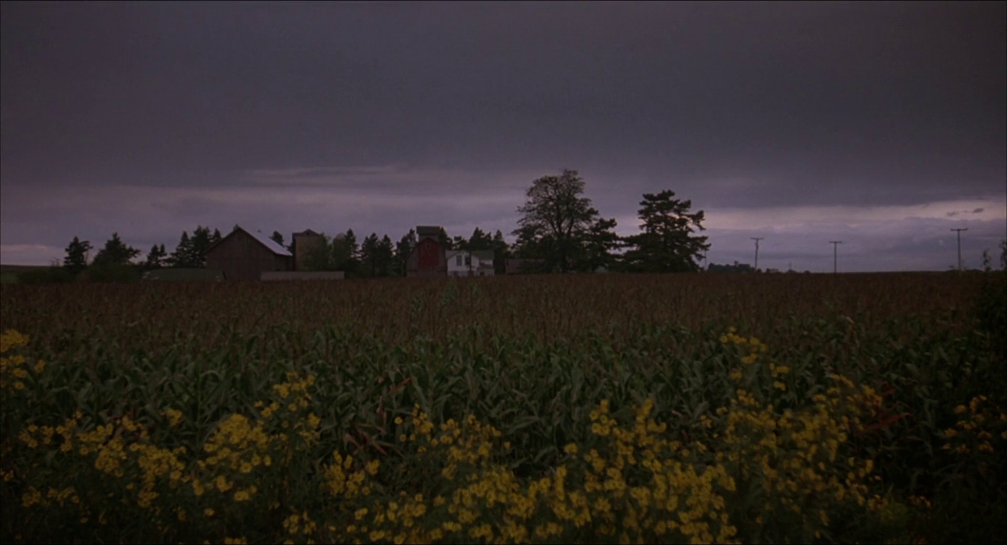 Picture of A Thousand Acres