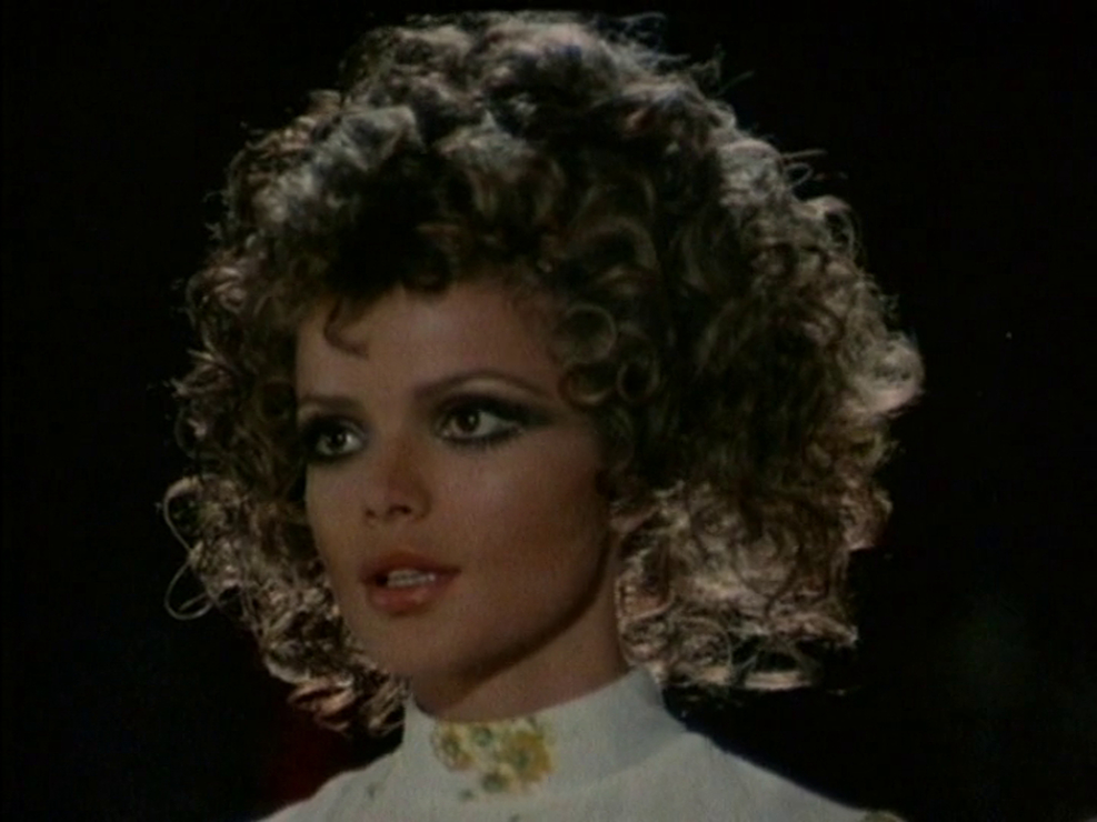 Picture of Die Weibchen