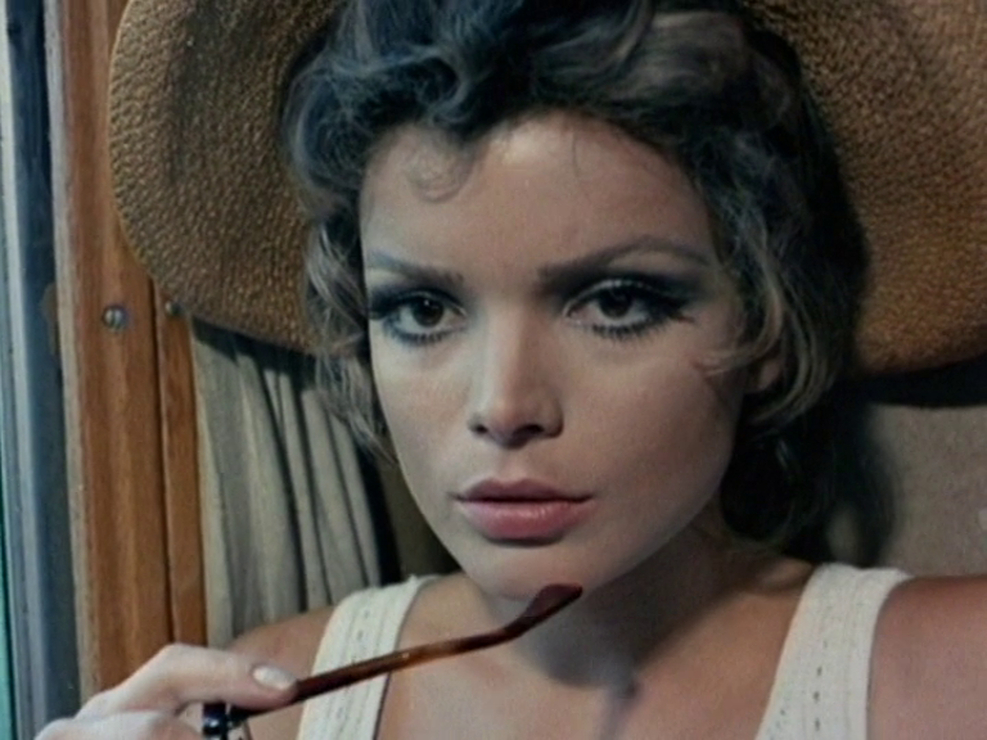 Picture of Die Weibchen