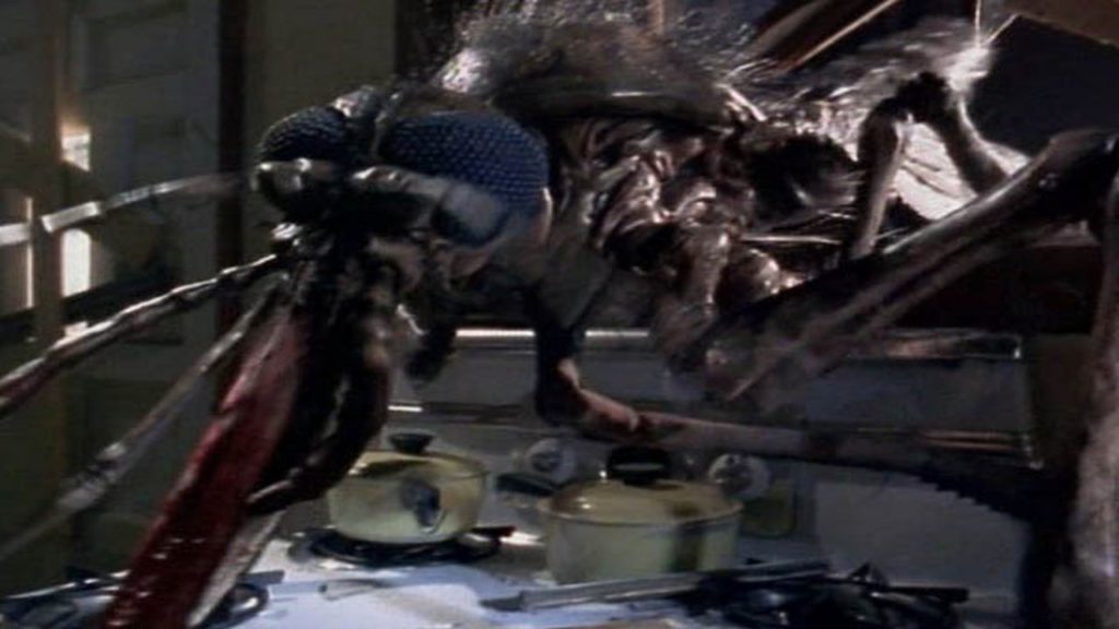 Picture of Mosquito