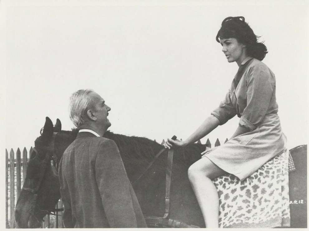 Robert Terry, Rachel Romen