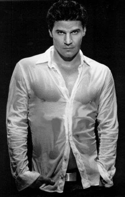 Picture of David Boreanaz