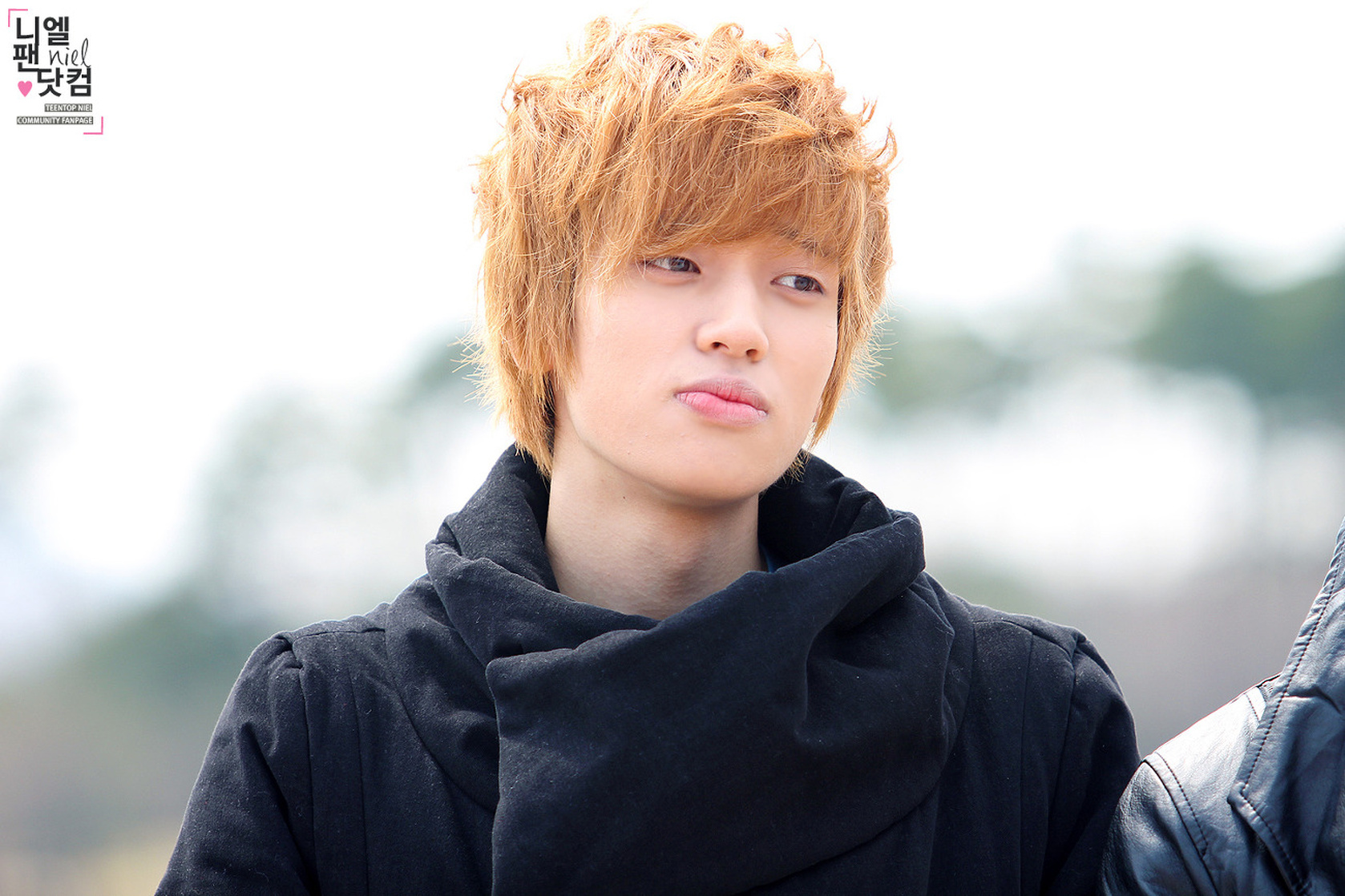 Picture of Niel