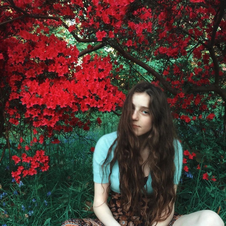 Picture of Birdy