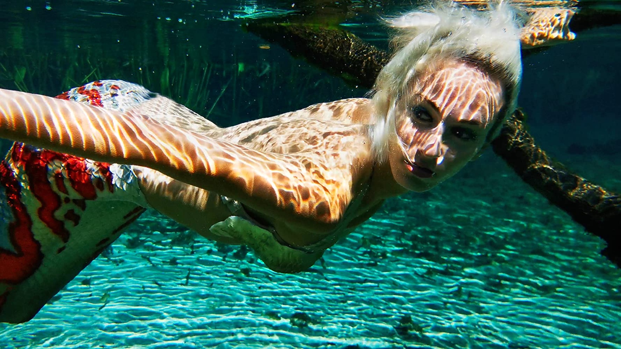 Picture of Pretty Gritty