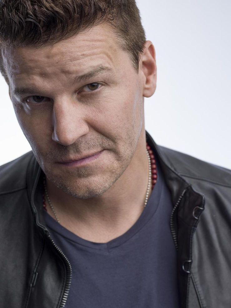 David Boreanaz picture