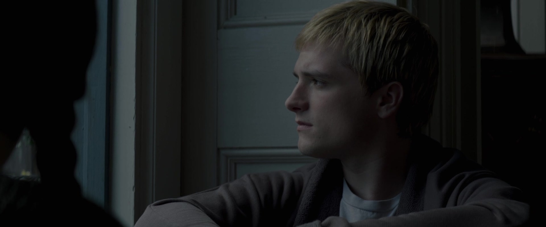 The Hunger Games: Mockingjay - Part 2