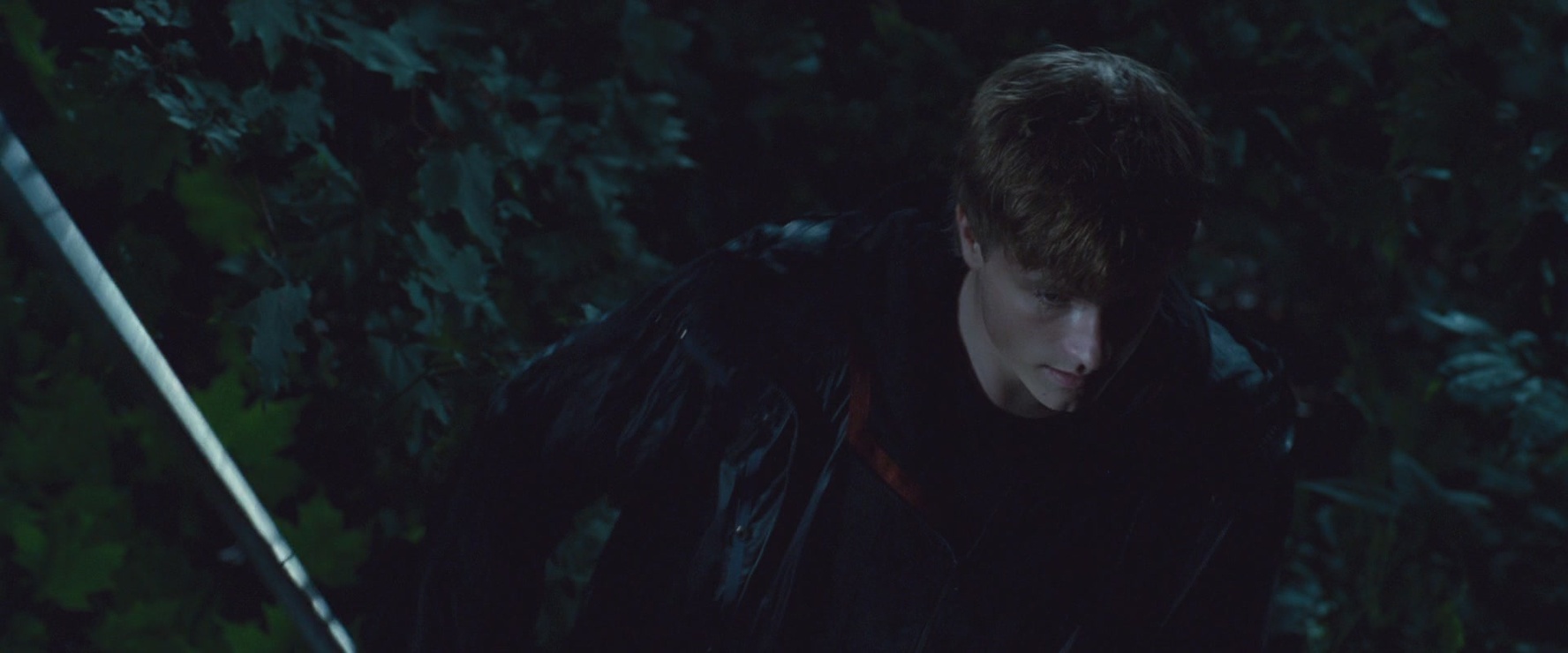 The Hunger Games