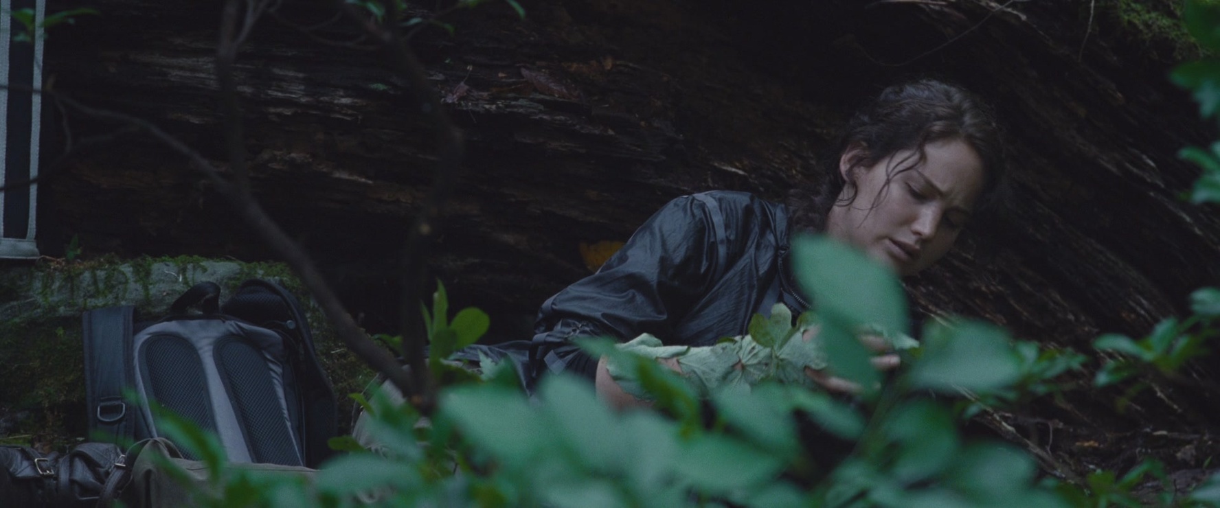 The Hunger Games