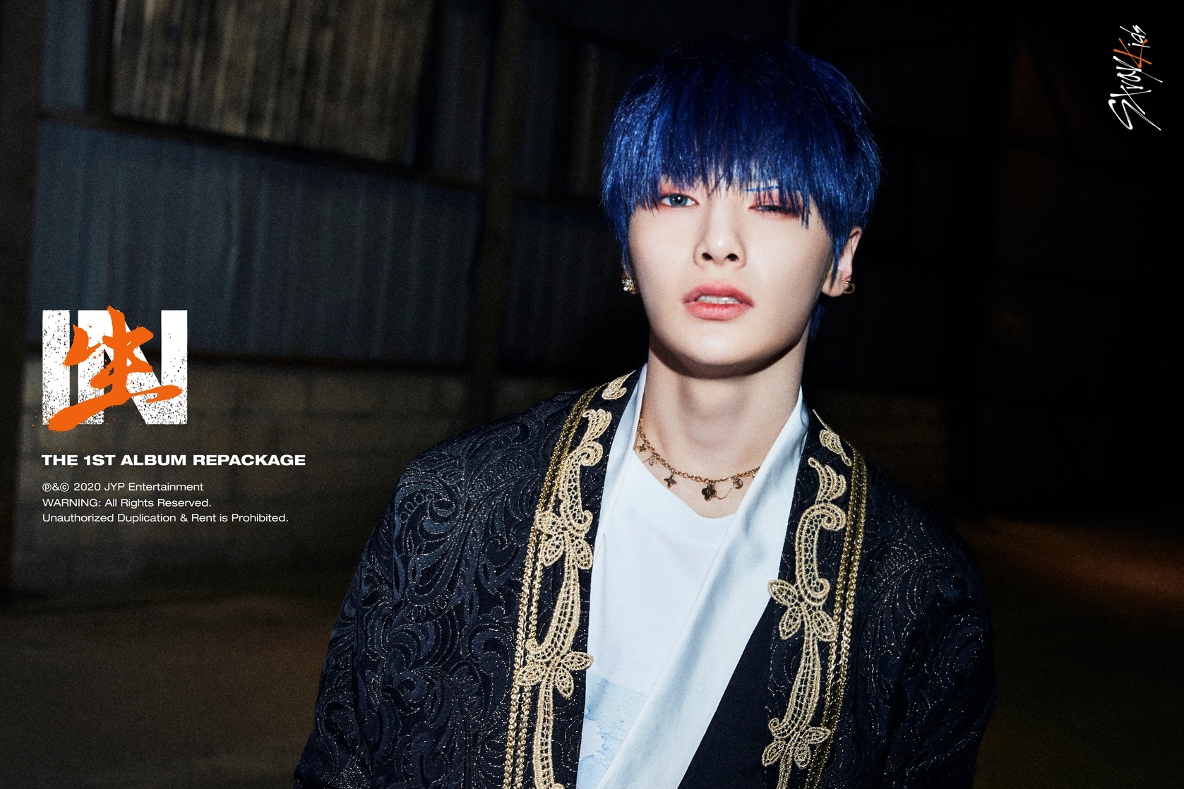 Picture of Stray Kids