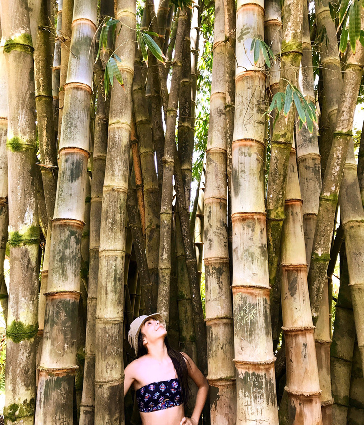 Picture of Veronica Merrell