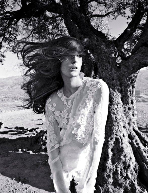 Picture of Amanda Laine