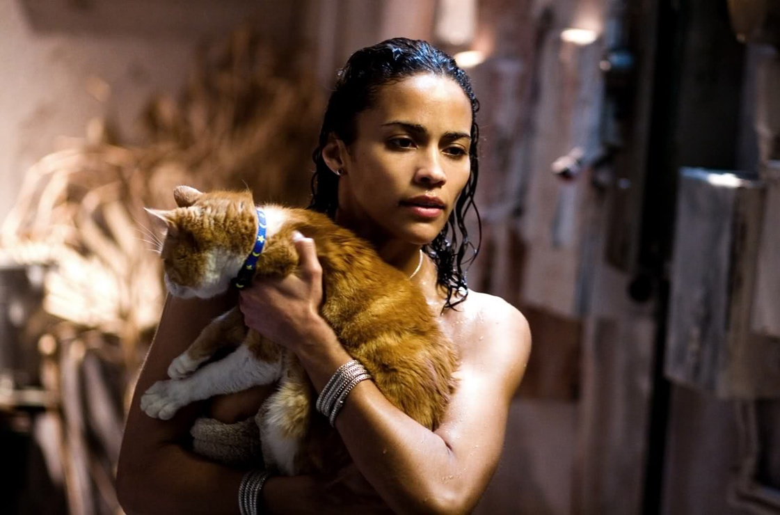 Paula Patton picture