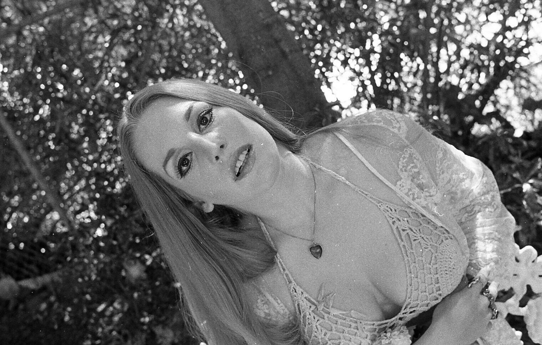 Picture of Lynn Carey