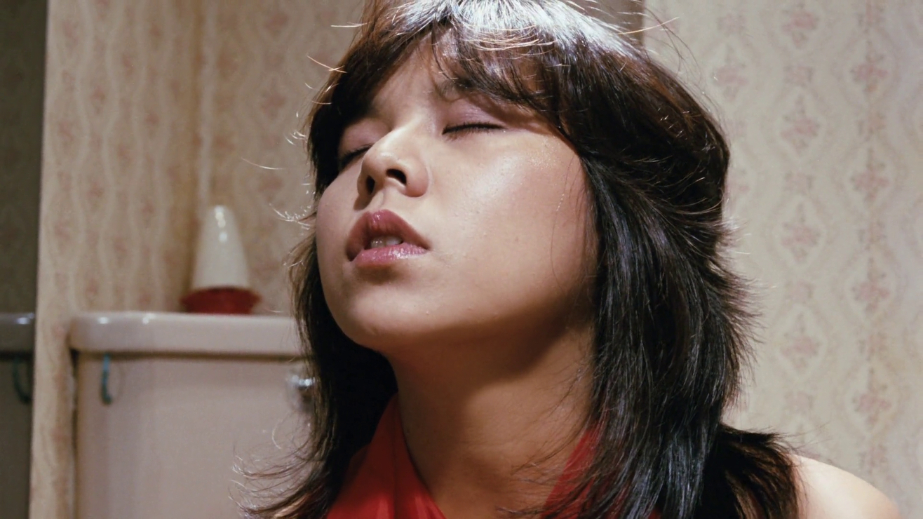 Picture of High School Girl's Diary