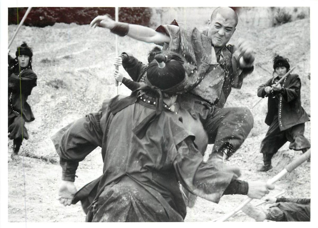 Picture of Shogun's Shadow