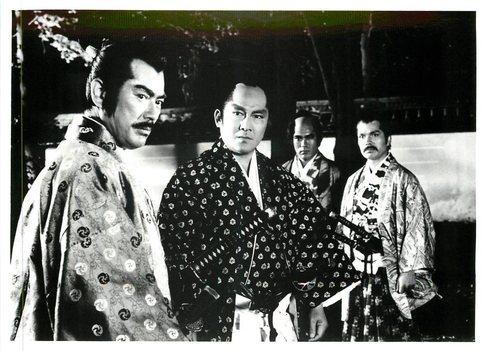 Picture of Shogun's Shadow