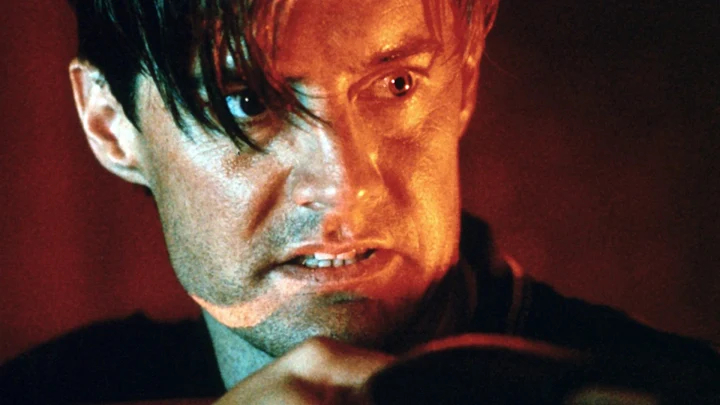 Picture of The Trigger Effect (1996)