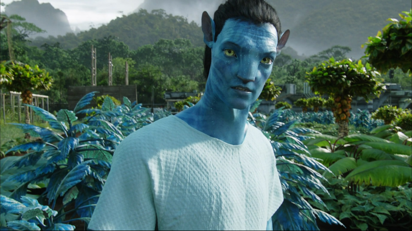 Avatar