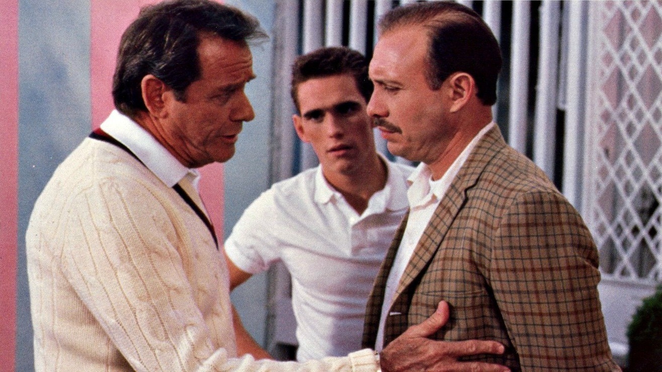 The Flamingo Kid image