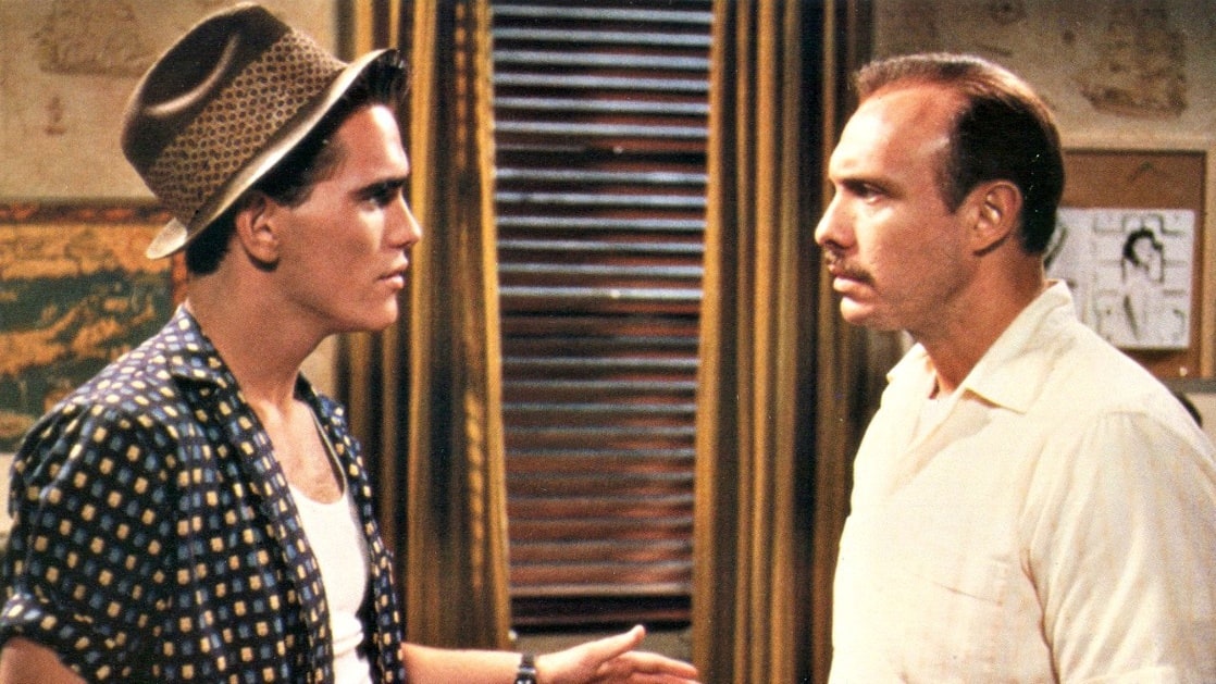 Picture of The Flamingo Kid