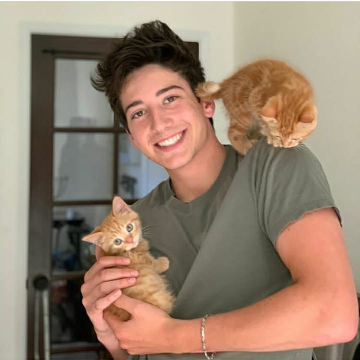 Picture of Milo Manheim