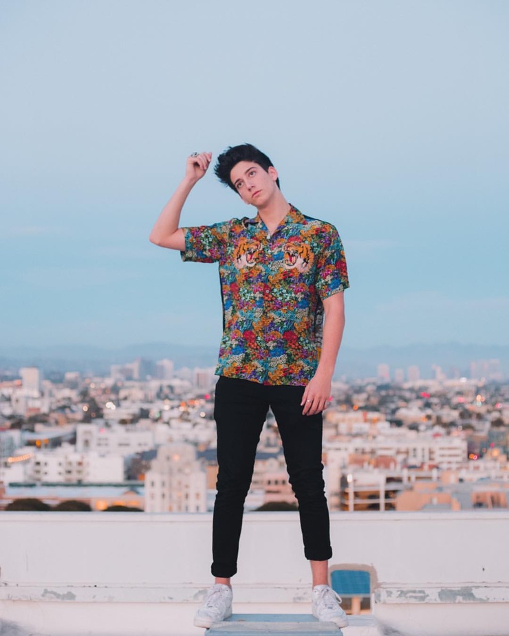 Picture of Milo Manheim