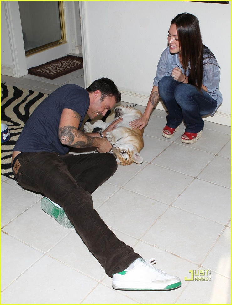 Picture of Megan Fox