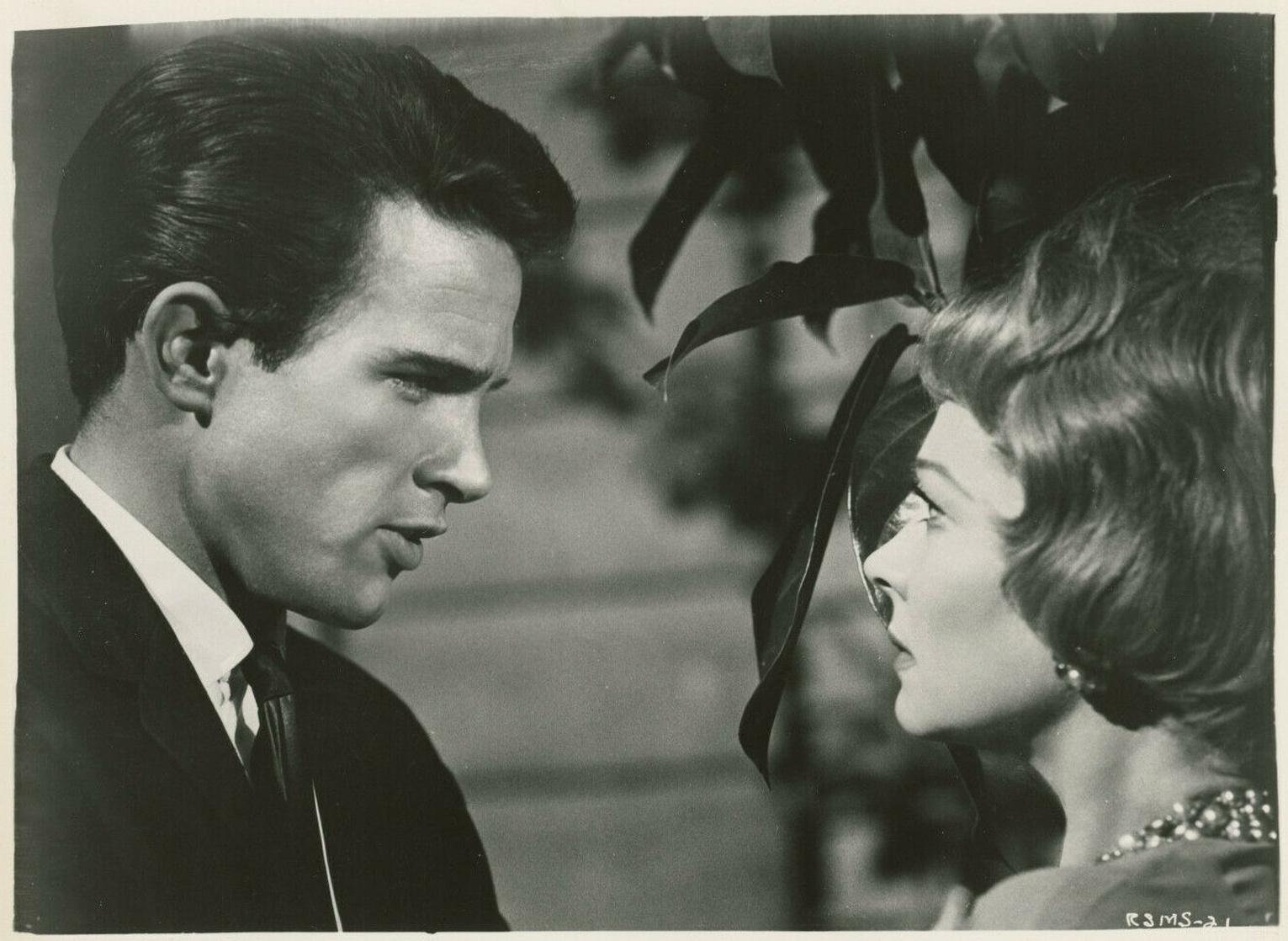 Image of The Roman Spring of Mrs. Stone