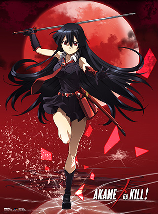 Picture of Akame ga Kill!