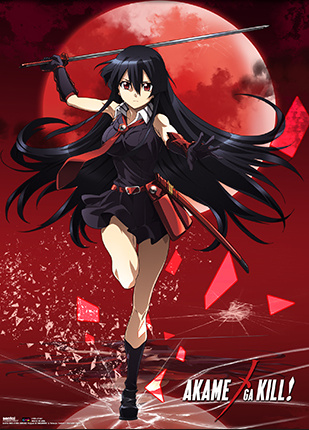 Picture of Akame ga Kill!