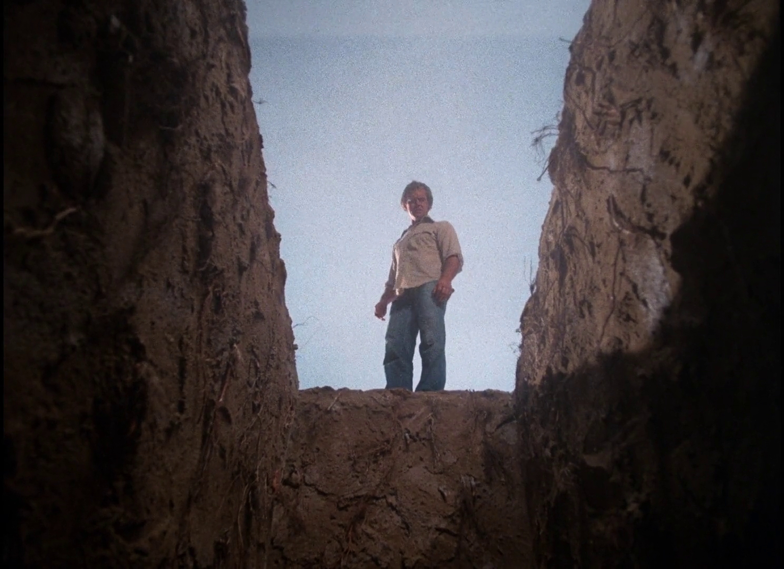 Picture of Salem's Lot