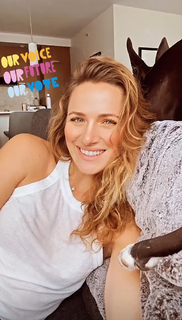 Picture of Shantel VanSanten