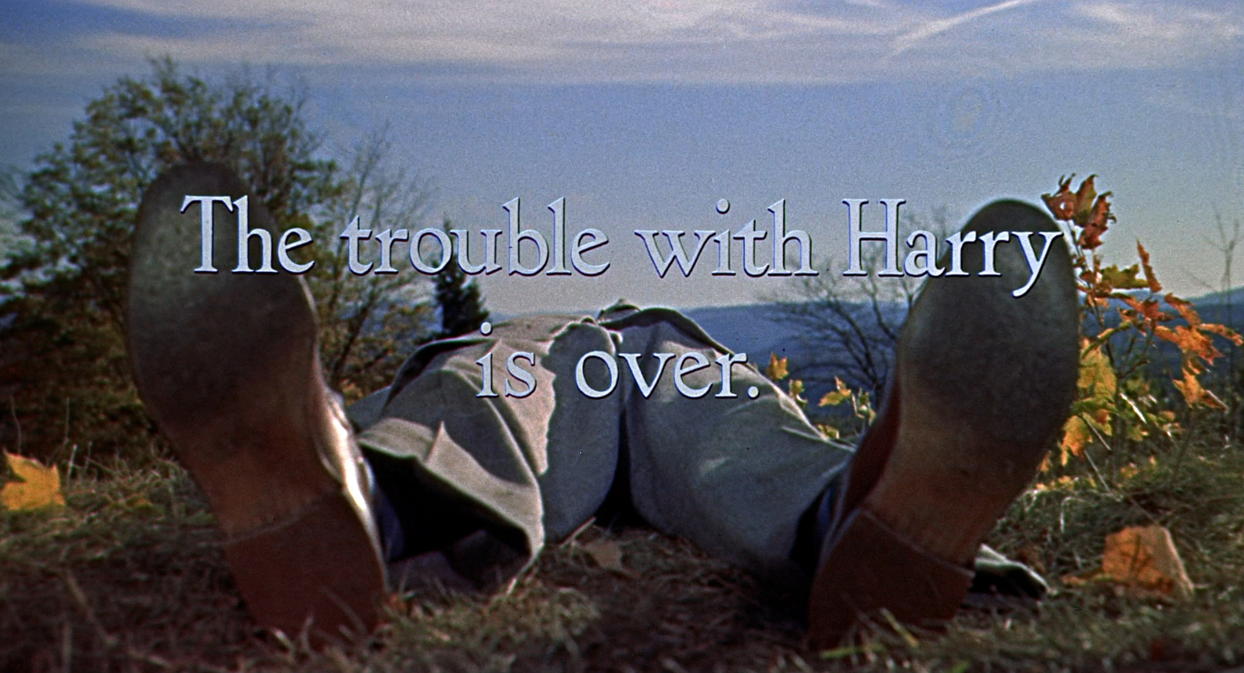 Picture of The Trouble with Harry