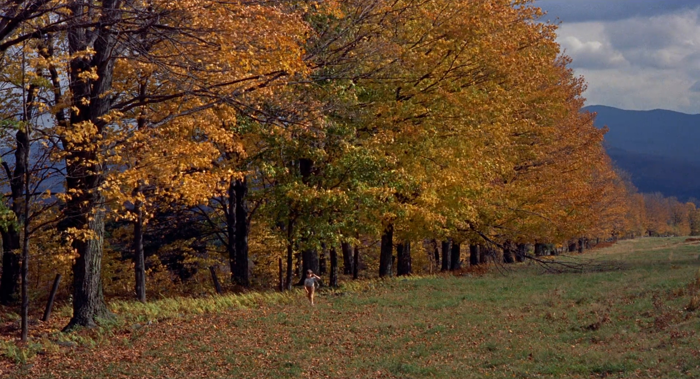 Picture of The Trouble with Harry (1955)