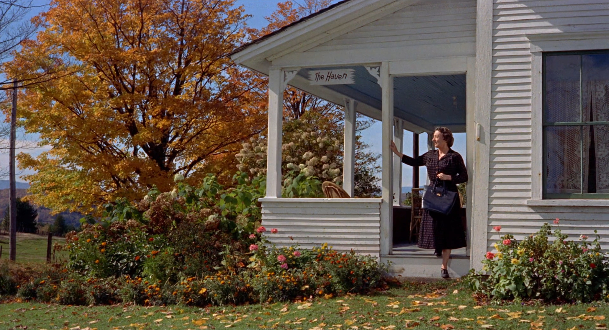 The Trouble with Harry (1955) image