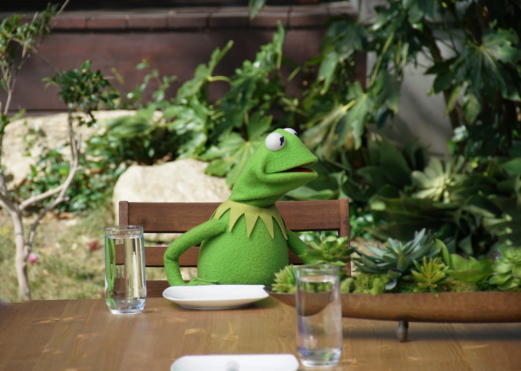 Kermit the Frog