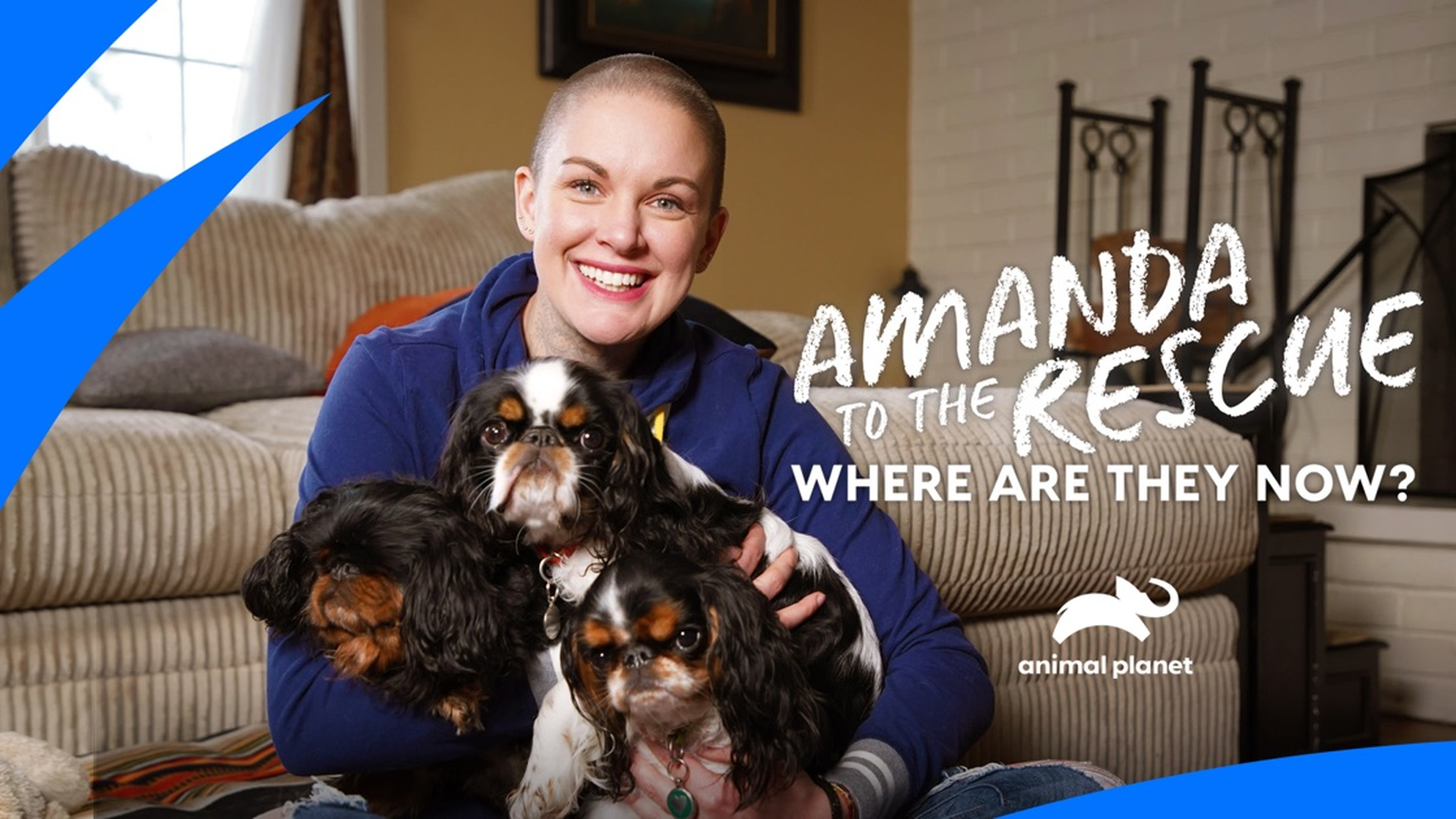 Picture of Amanda to the Rescue: Where Are They Now?