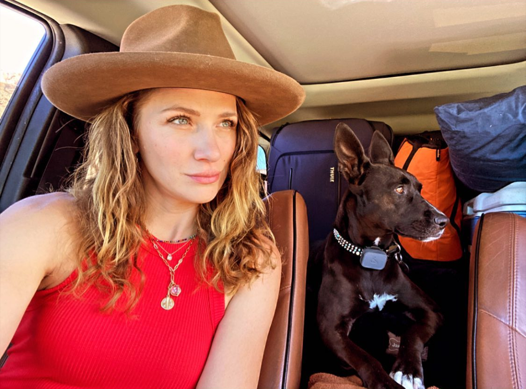 Picture of Shantel VanSanten